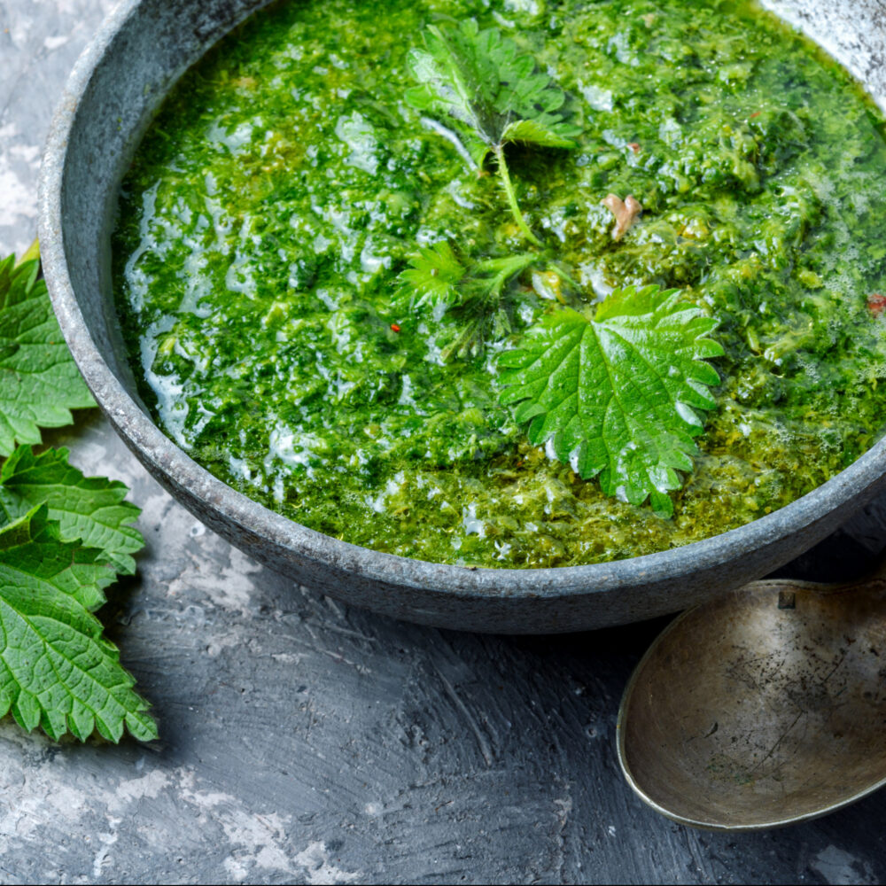 Nettle Soup | Idaho Preferred