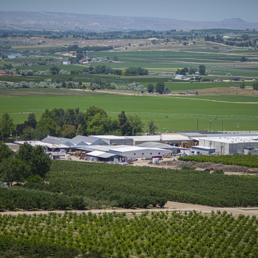 Symms Fruit Ranch | Idaho Preferred