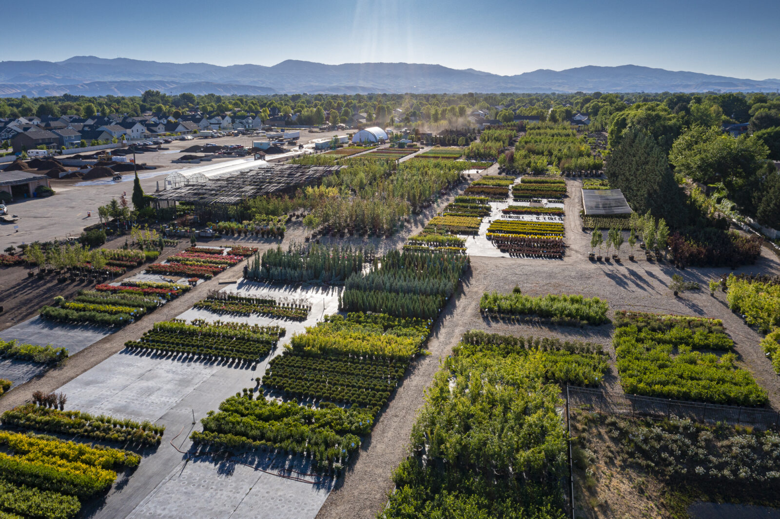 Experience Agriculture Archives | Idaho Preferred