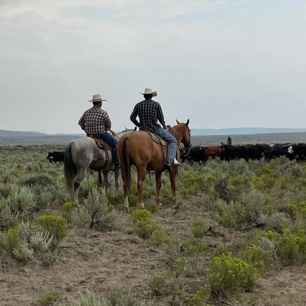 Farm-Raised Meat Guide: Beef | Idaho Preferred