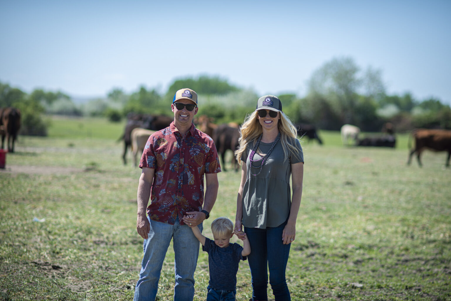Farm-Raised Meat Guide: Beef | Idaho Preferred