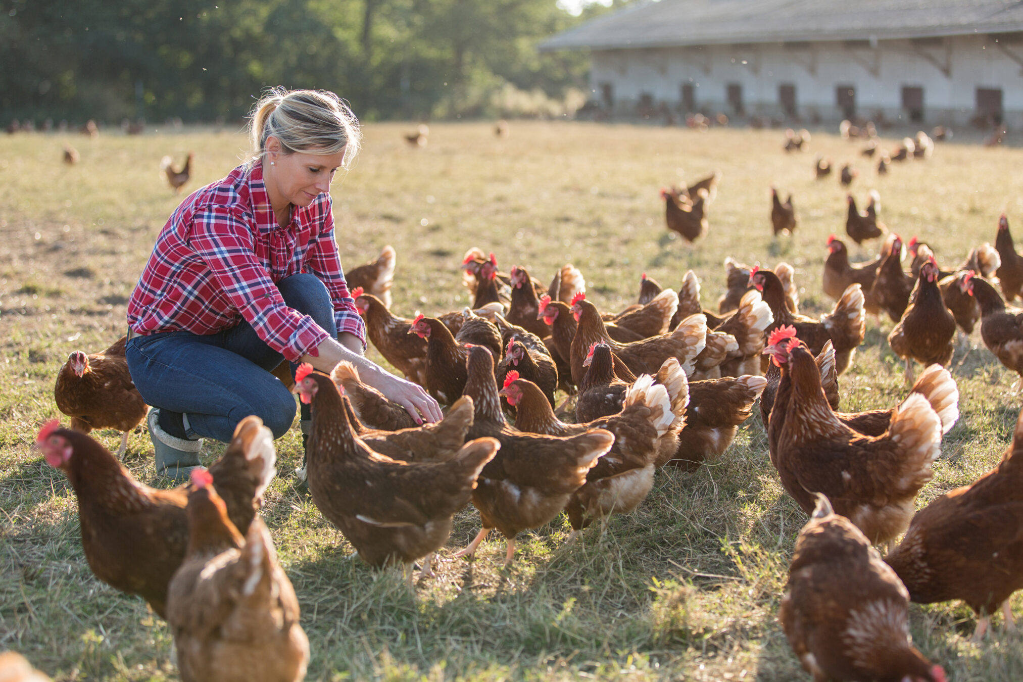 Farm-Raised Meat Guide: Poultry | Idaho Preferred