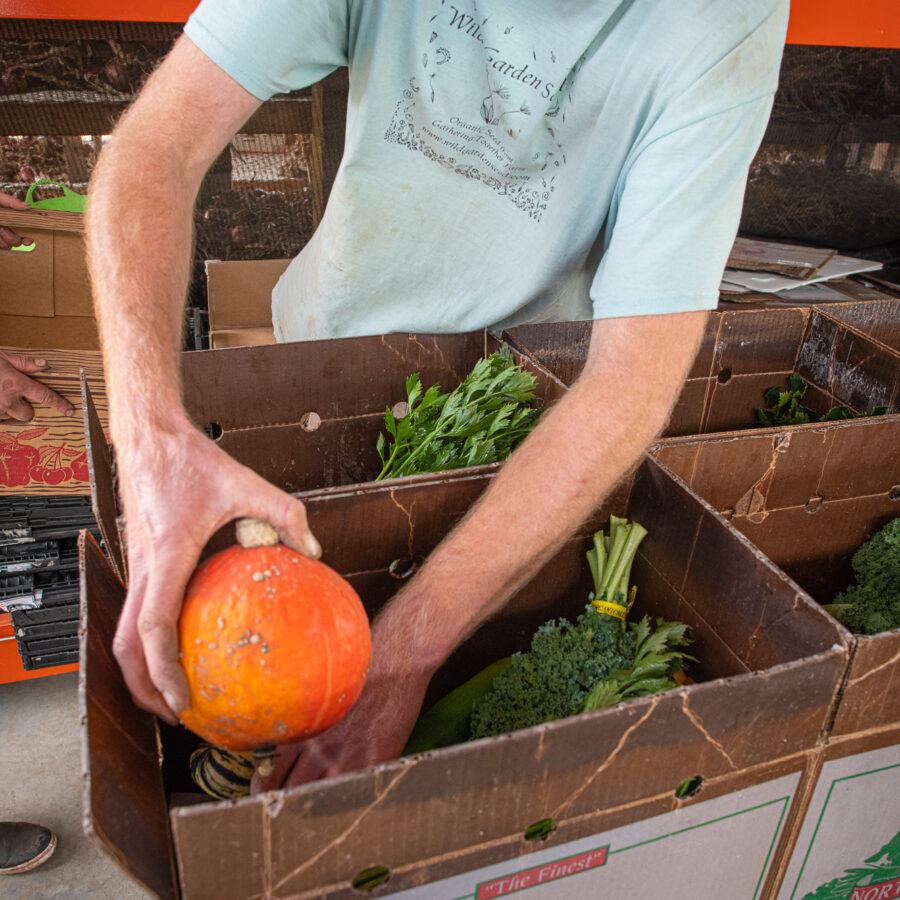 Community Supported Agriculture | Idaho Preferred