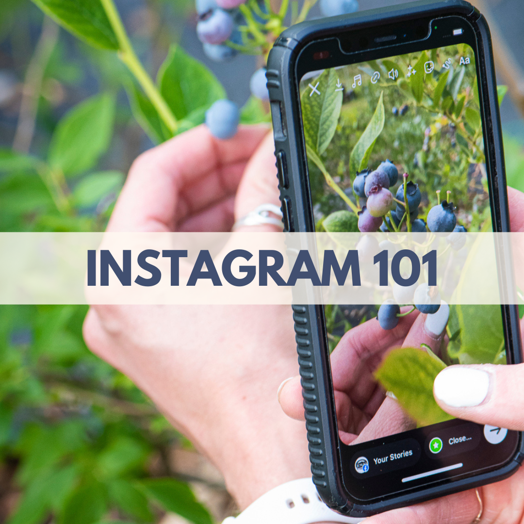 Instagram 101 | Idaho Preferred